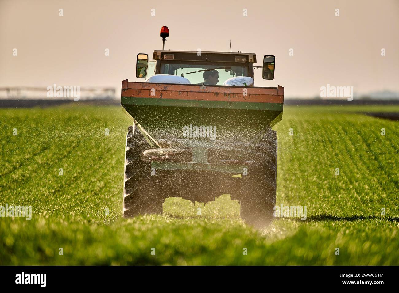 Tractor spreading fertilizer through crop sprayer on wheat in field ...