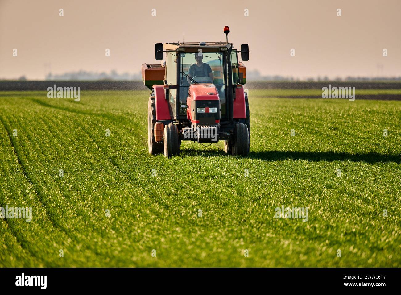 Farmer driving tractor and fertilizing crops in field Stock Photo - Alamy