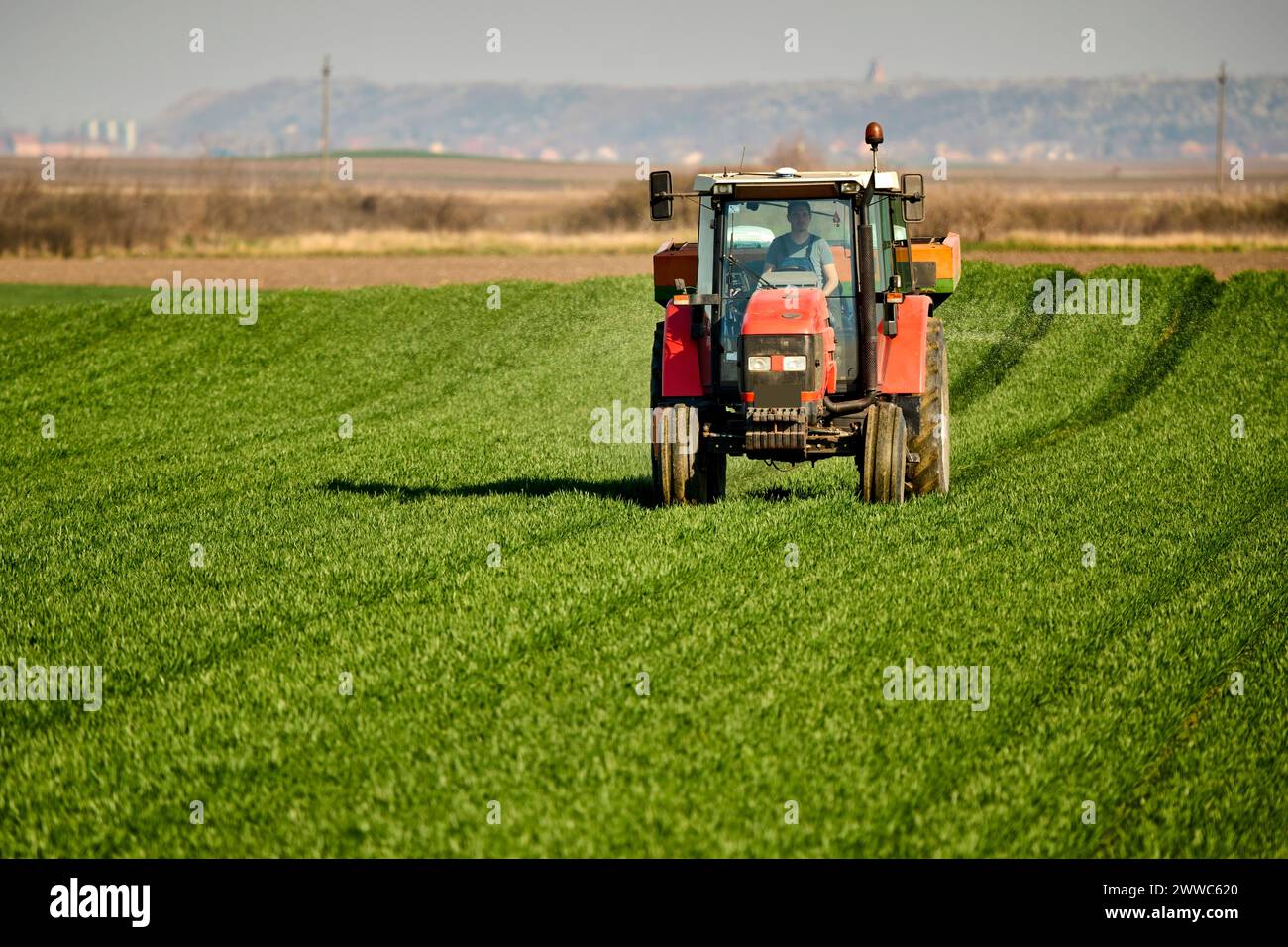 Farmer in tractor fertilizing green wheat crops in field Stock Photo ...