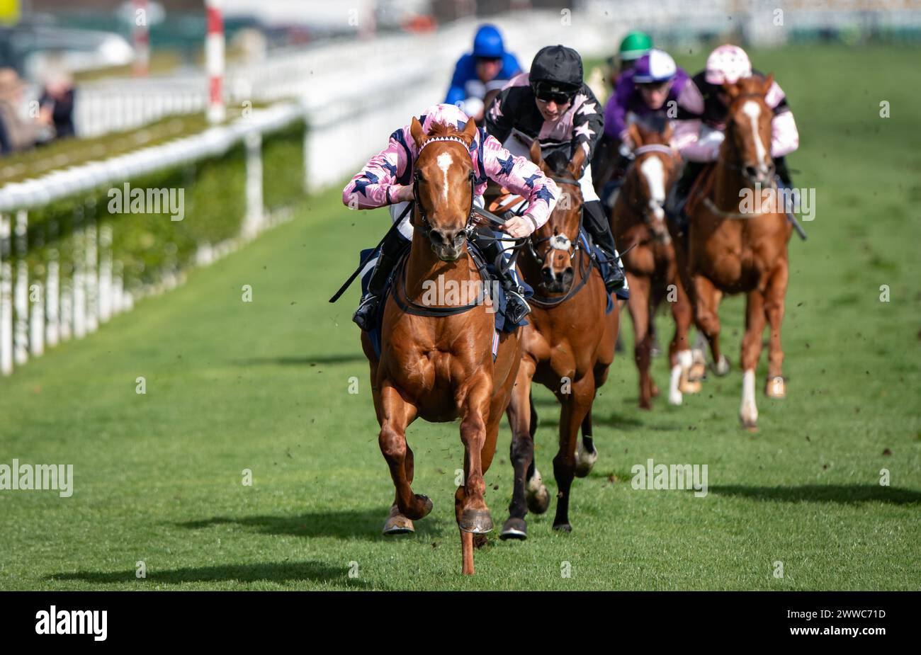 Lincoln racecourse hi-res stock photography and images - Alamy