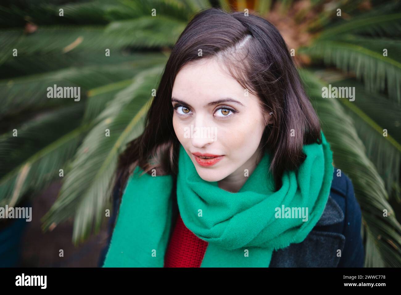 Beautiful view green plants grown hi-res stock photography and images ...