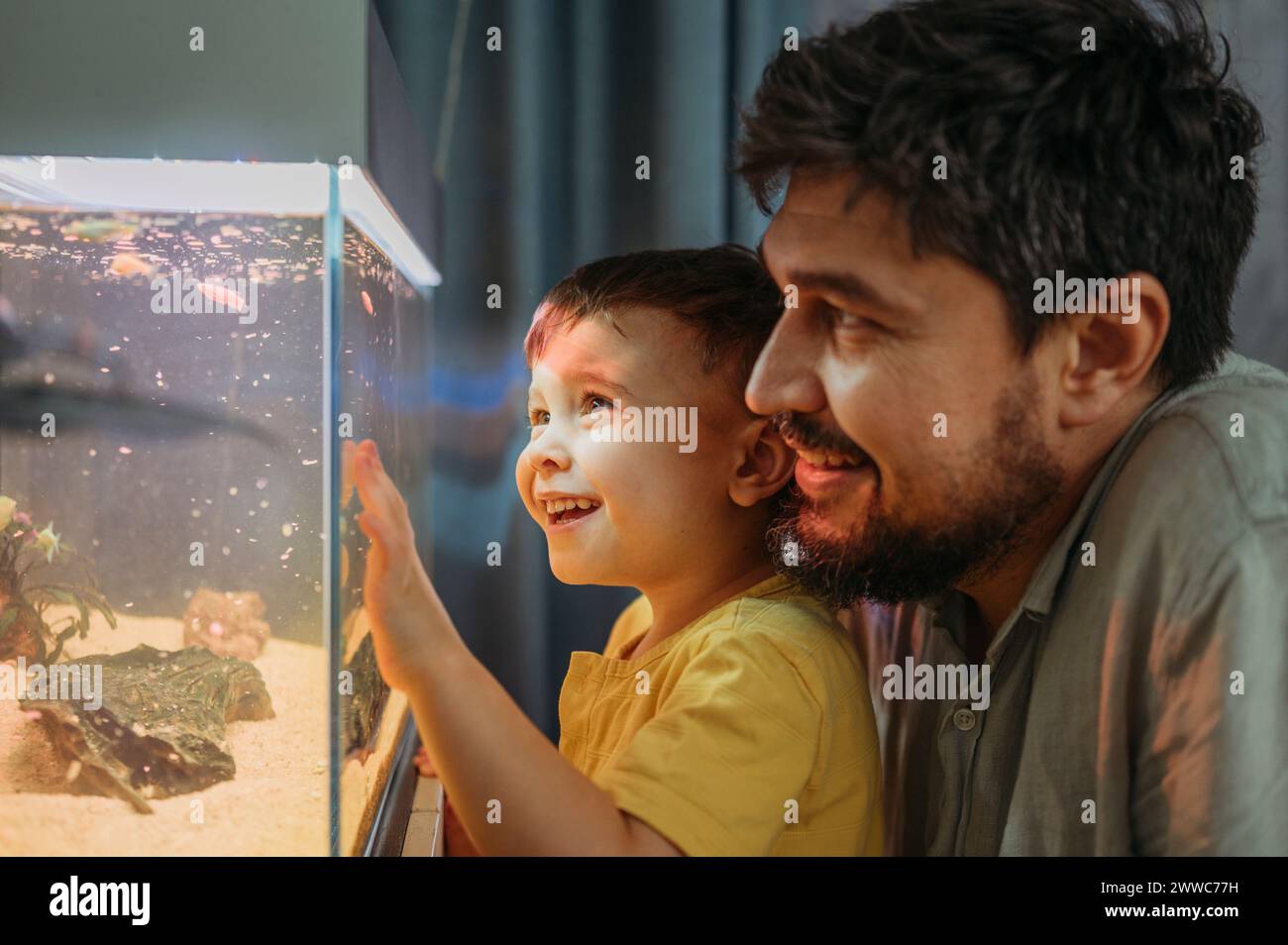 Happy boy watching fishes in tank with father at home Stock Photo - Alamy