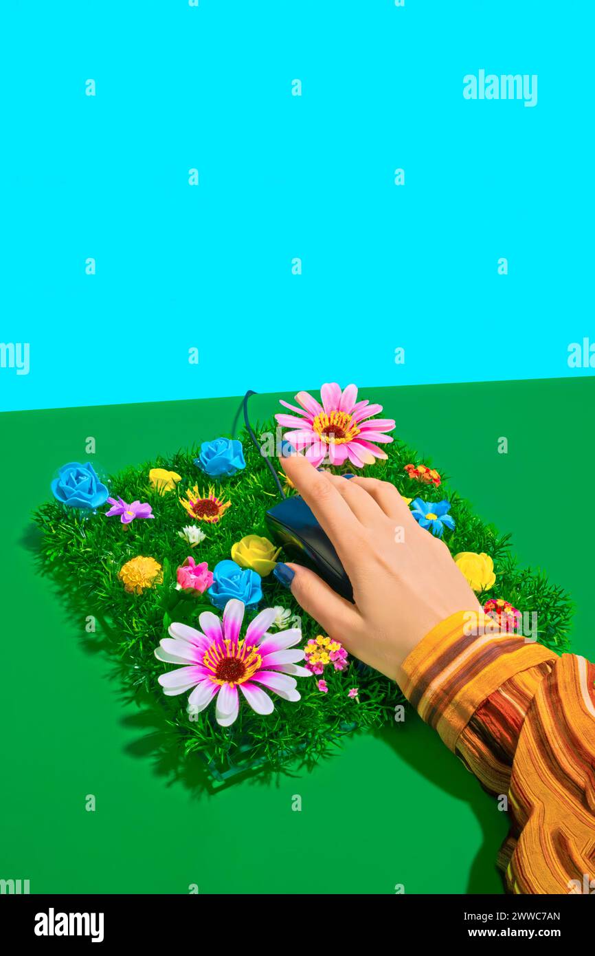 Seedbed seedbeds hi-res stock photography and images - Alamy