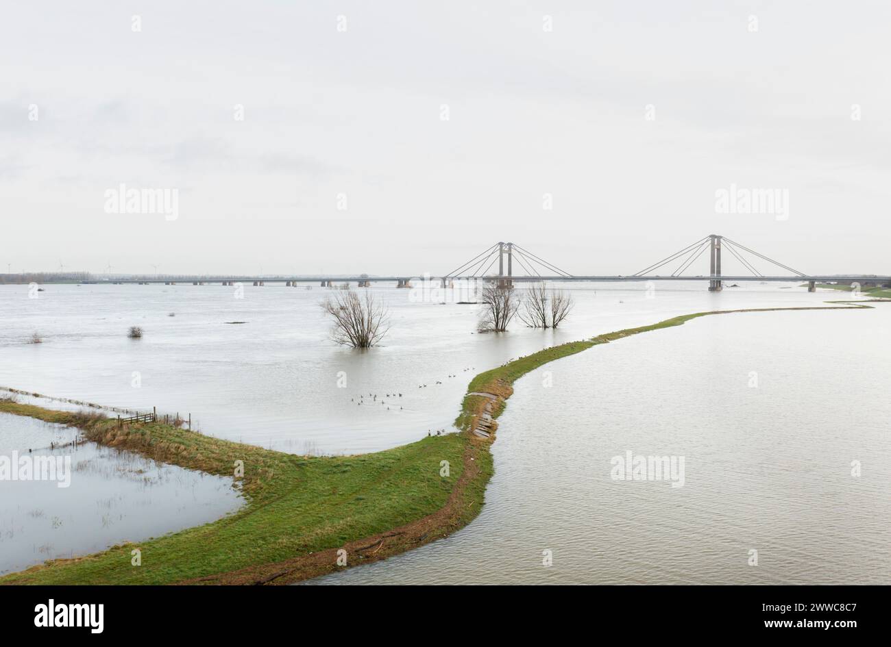 Netherlands, Aerial view of river Waal flooding surrounding land after ...