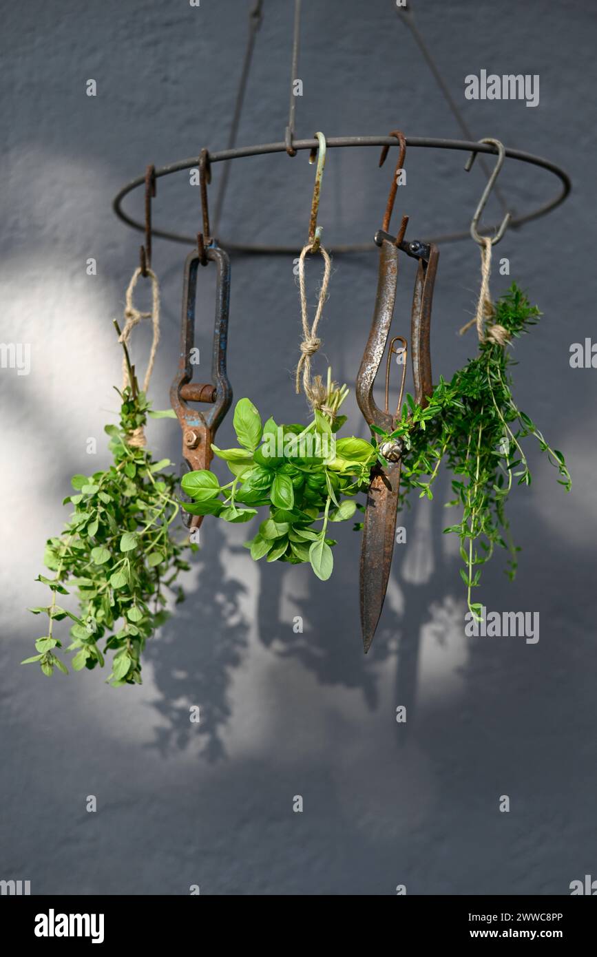 Hanging on metal hooks hi-res stock photography and images - Alamy