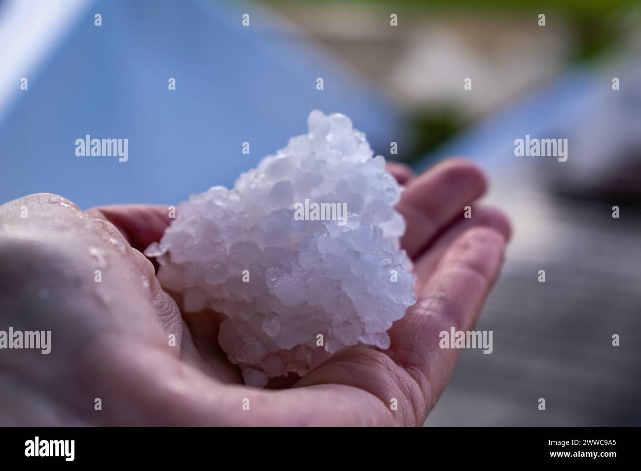 Hail balls in march, natural springtime weather, can cause damages ...