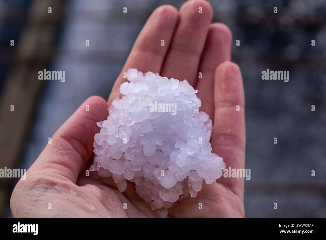 Hail balls in march, natural springtime weather, can cause damages ...