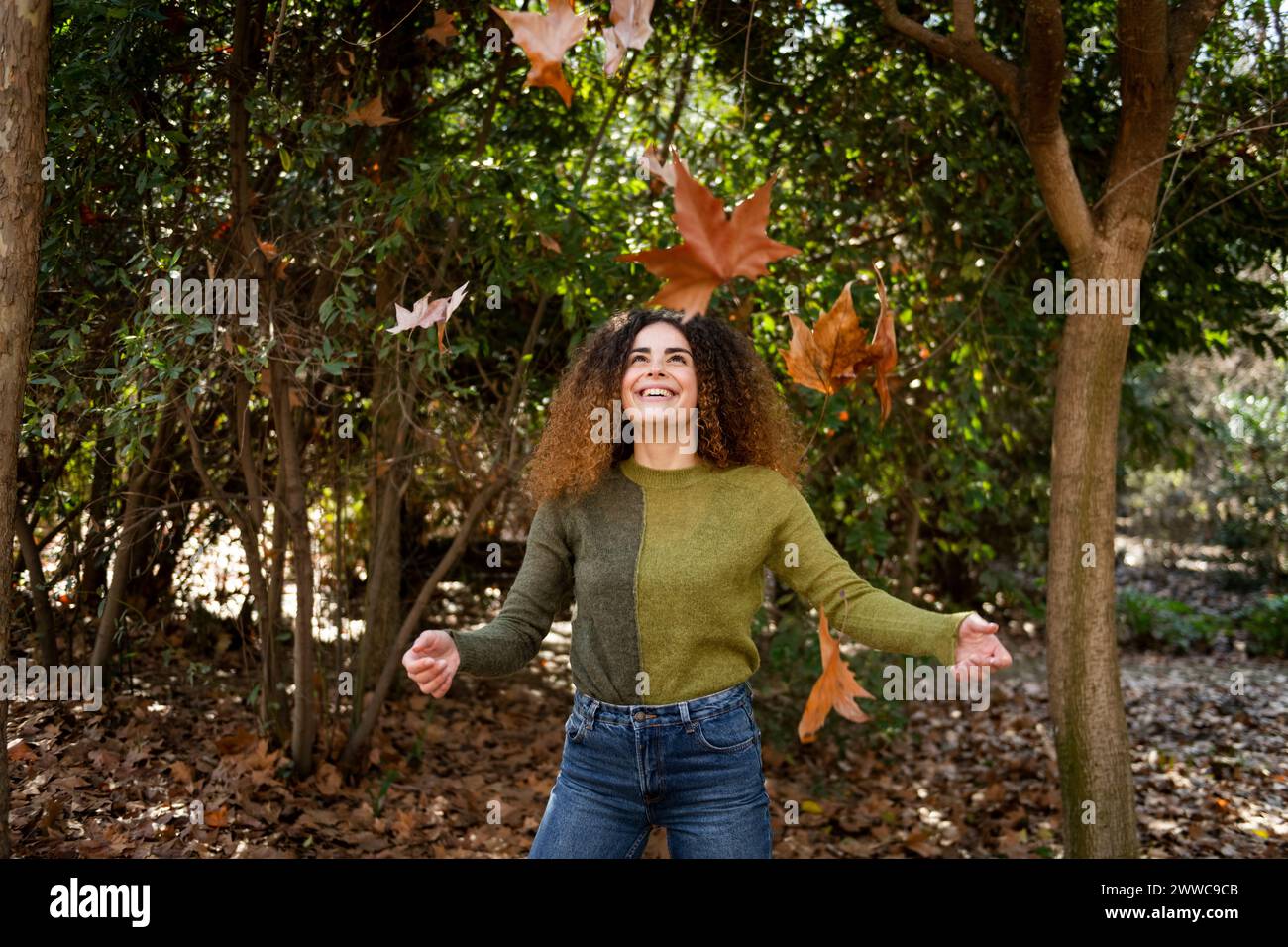 Person standing under trees hi-res stock photography and images - Alamy