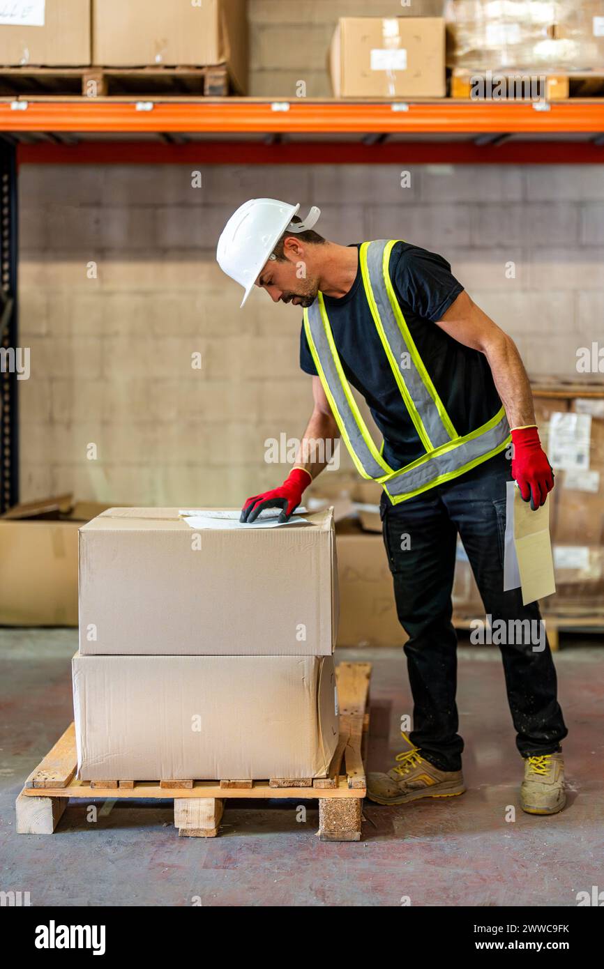 Worker examining checklist at wood distribution warehouse Stock Photo ...