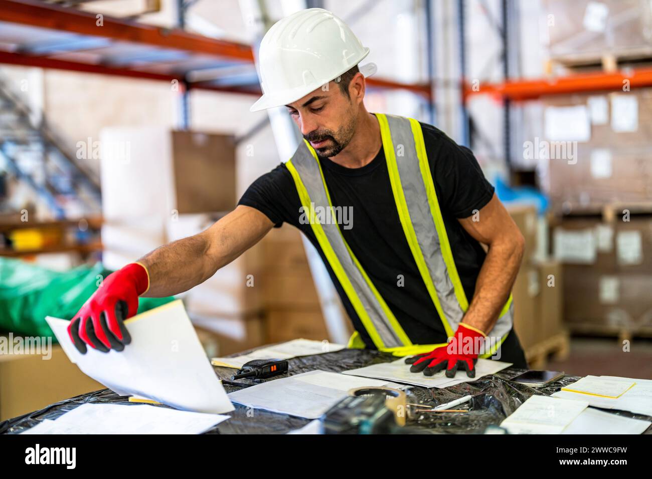 Worker examining documents at wood distribution warehouse Stock Photo ...