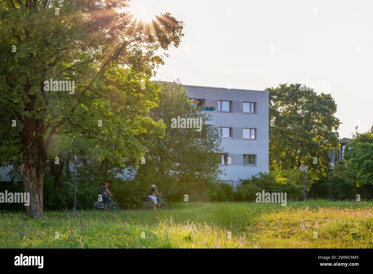 Modern building behind trees in Munich, Bavaria, Germany Stock Photo ...