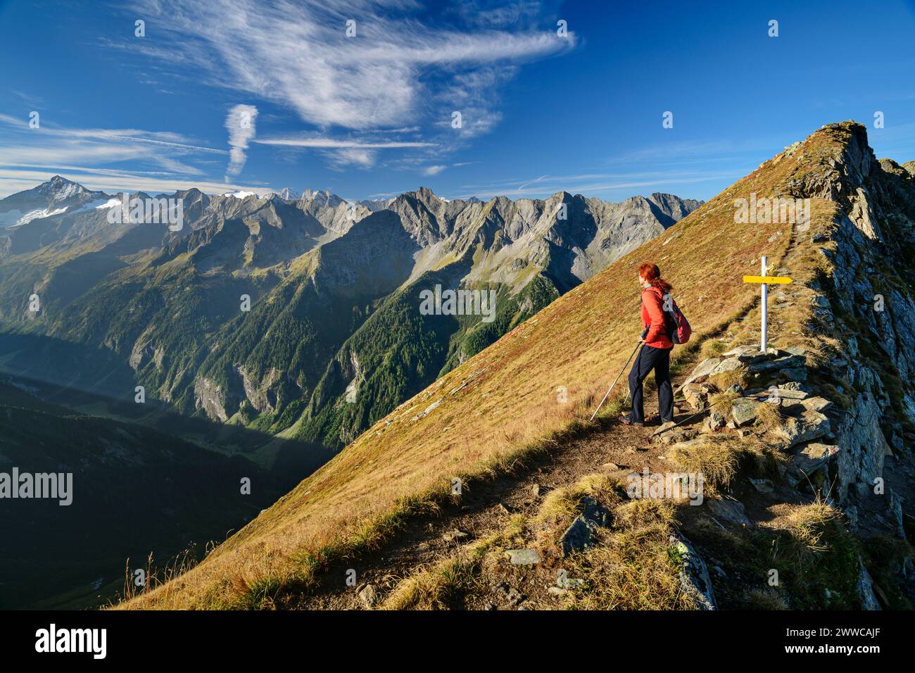 Austria, Tyrol, Female hiker following Aschaffenburger Hohenweg trail ...