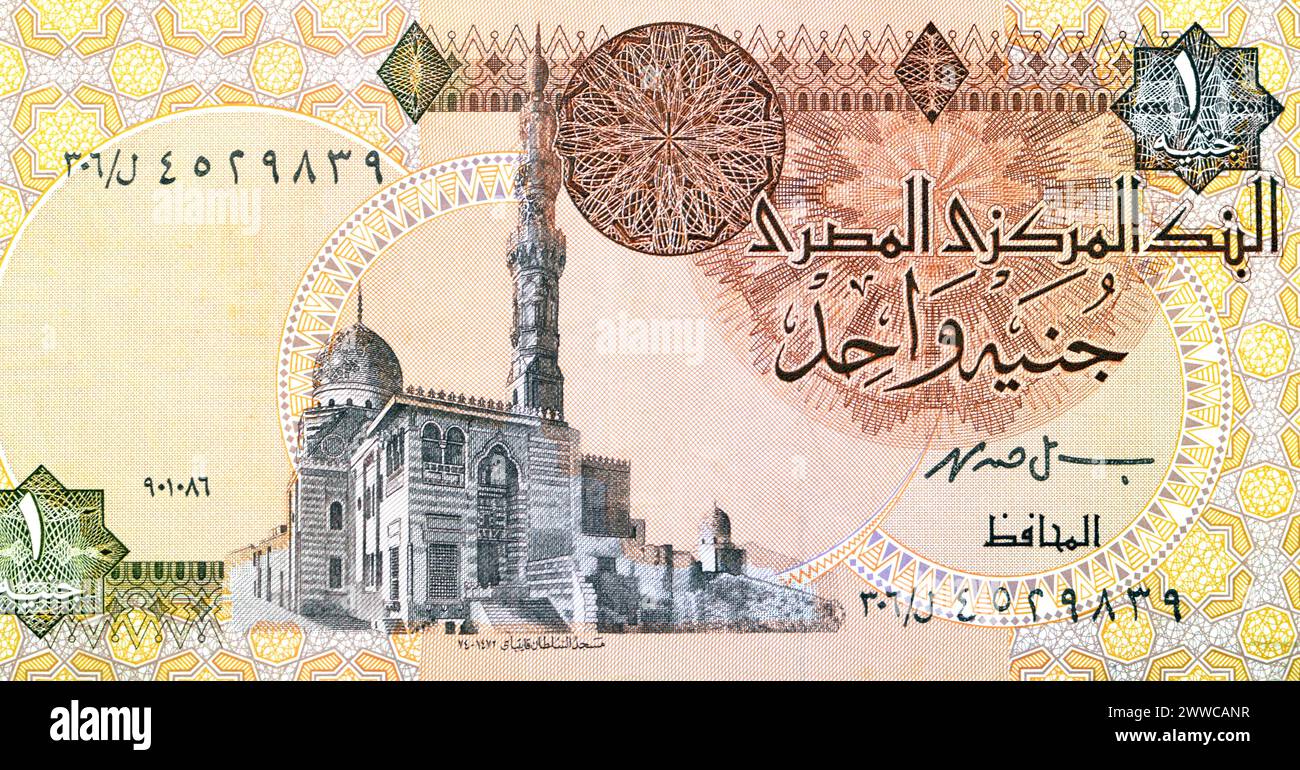 Large fragment of obverse side of 1 LE EGP one Egyptian pound money ...