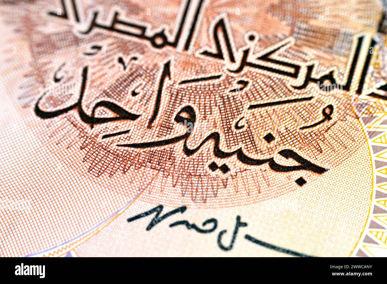 details from the obverse side of 1 LE EGP one Egyptian pound money ...