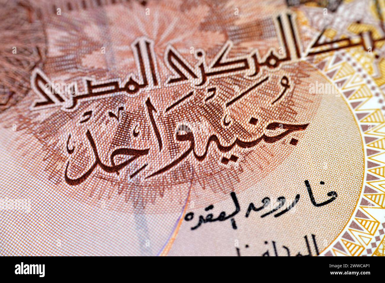 details from the obverse side of 1 LE EGP one Egyptian pound money ...