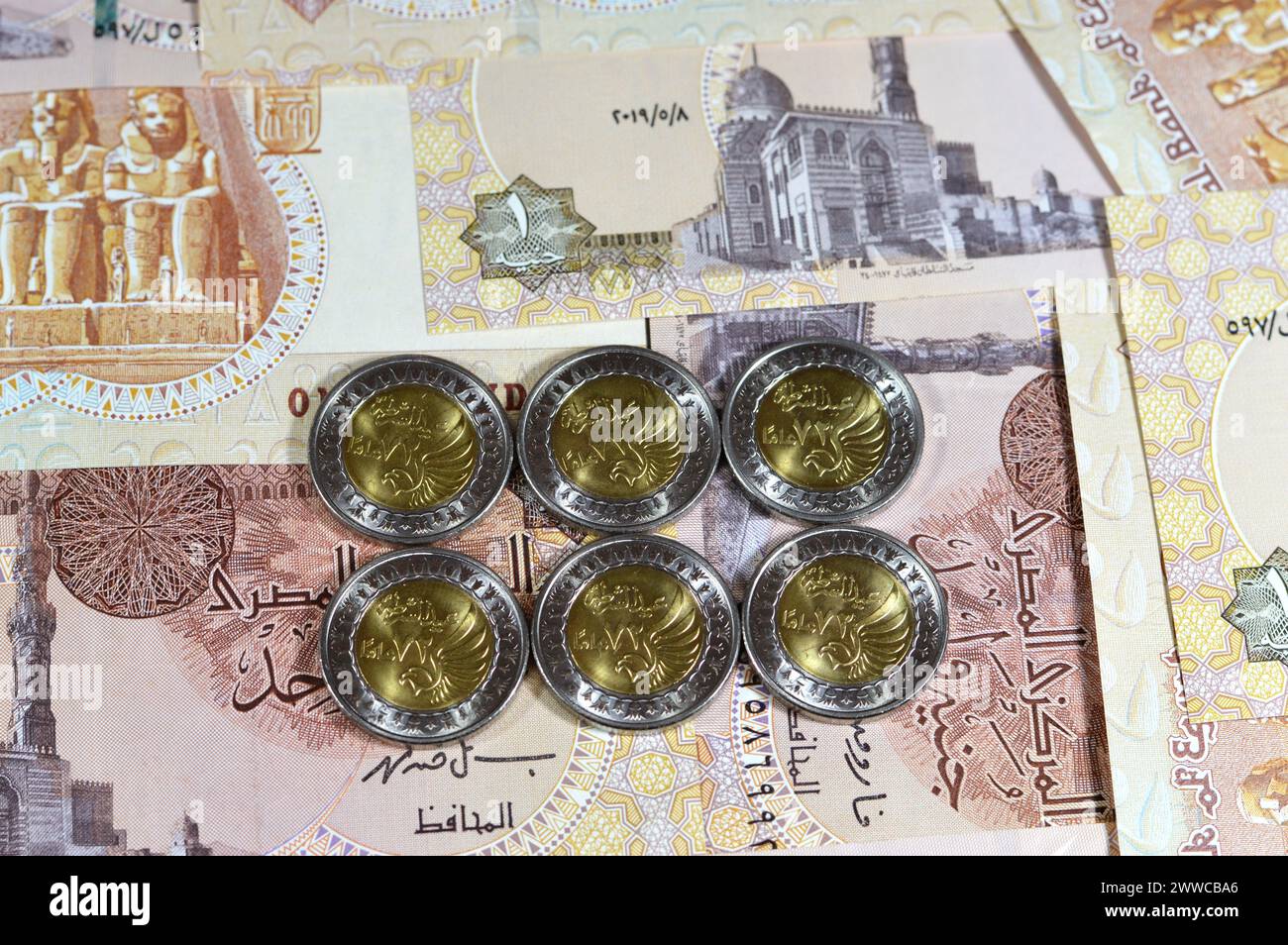 Egyptian 1 LE EGP One Egyptian pound coin on Egyptian banknote ...