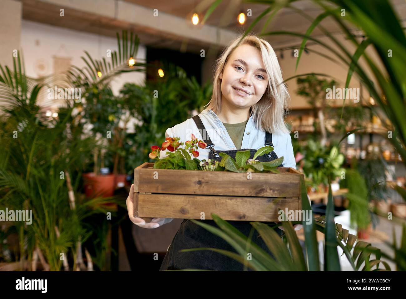 Happy gardener holding crate of plants in garden center Stock Photo - Alamy