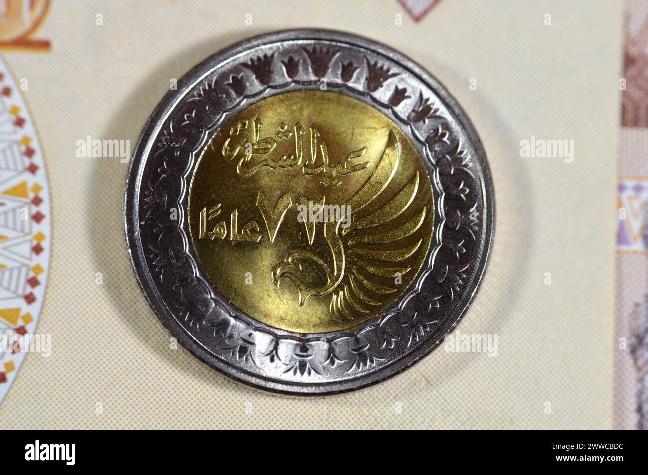 Egyptian 1 LE EGP One Egyptian pound coin on Egyptian banknote ...