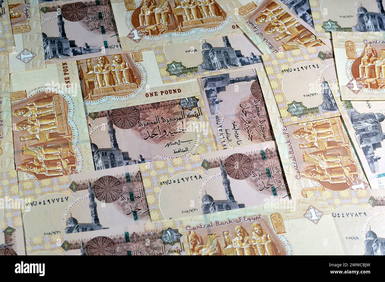 Pile of 1 LE EGP one Egyptian pound money banknote bill with the main ...