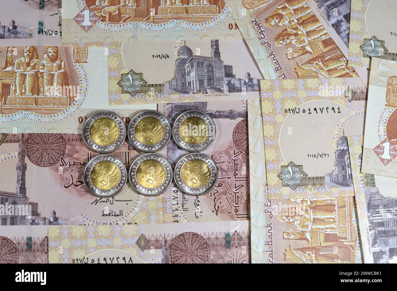 Egyptian 1 LE EGP One Egyptian pound coin on Egyptian banknote ...