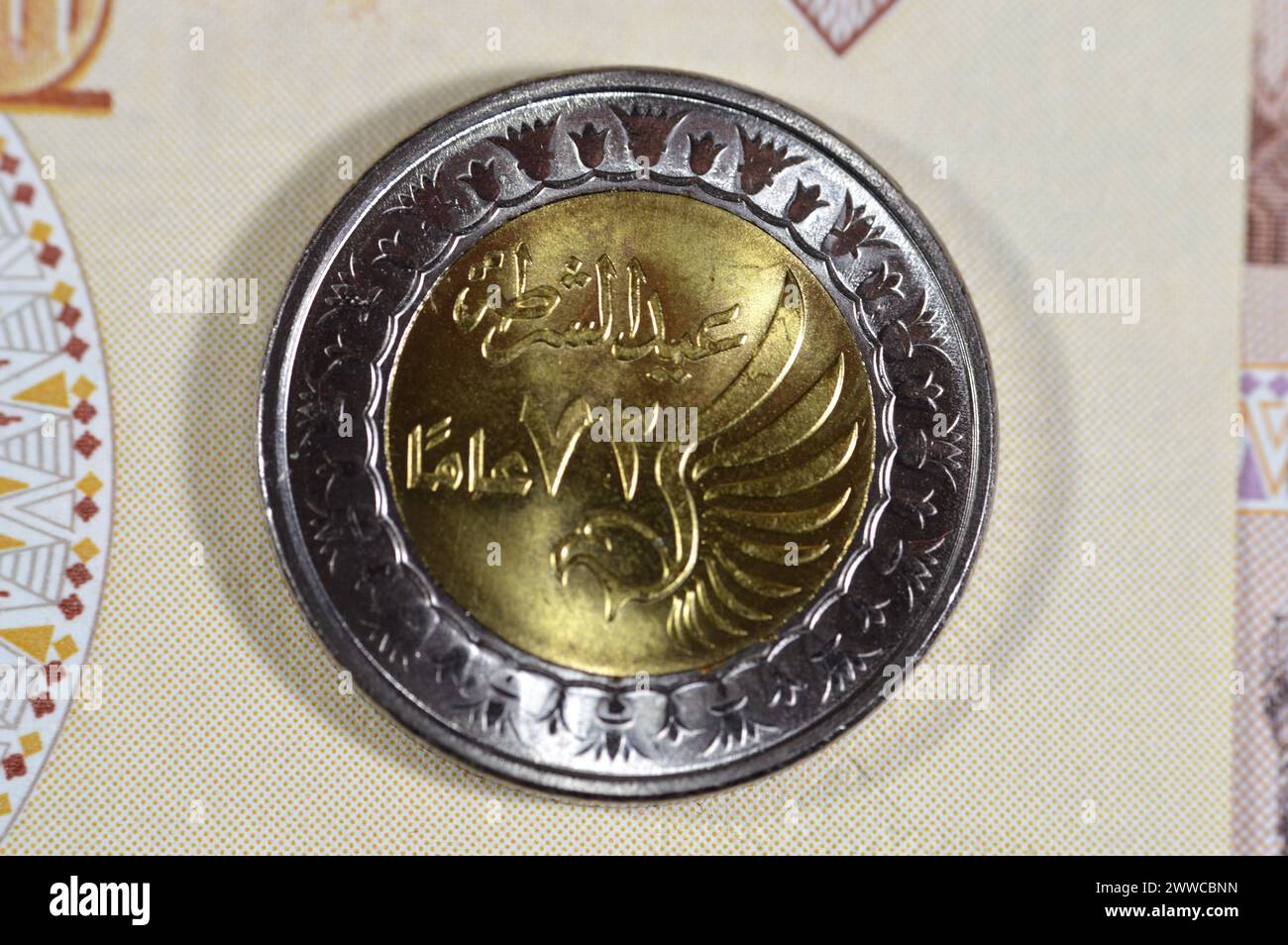 Egyptian 1 LE EGP One Egyptian pound coin on Egyptian banknote ...