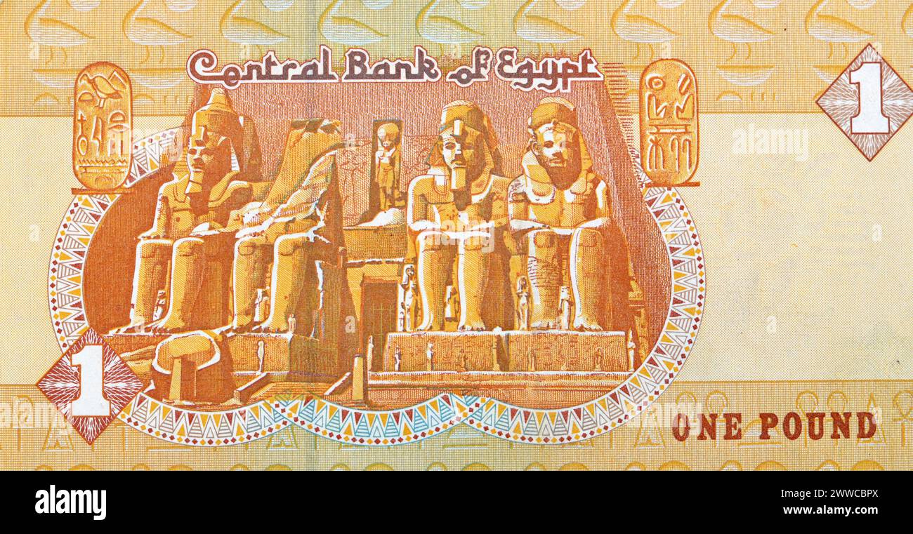 Large fragment of reverse side of 1 LE EGP one Egyptian pound money ...