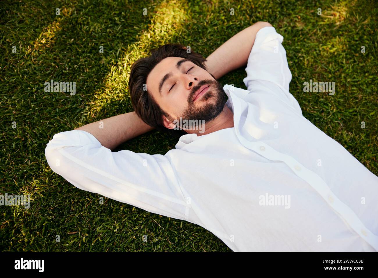 Lights on the grasses hi-res stock photography and images - Alamy