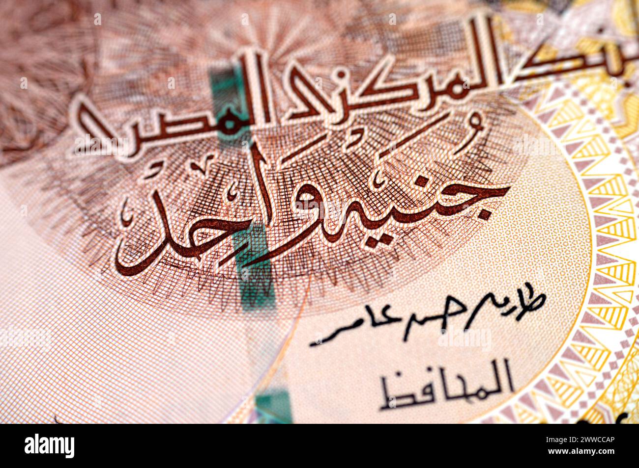 details from the obverse side of 1 LE EGP one Egyptian pound money ...