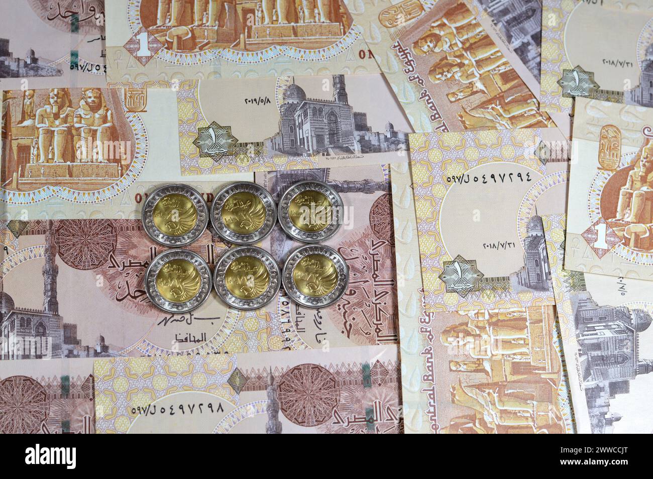 Egyptian 1 LE EGP One Egyptian pound coin on Egyptian banknote ...