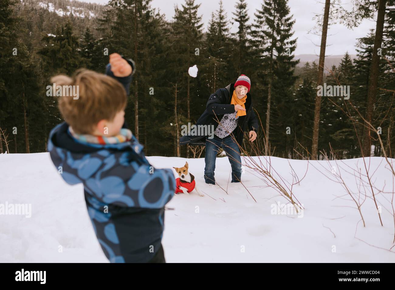 Father son playing snowballs in hi-res stock photography and images - Alamy