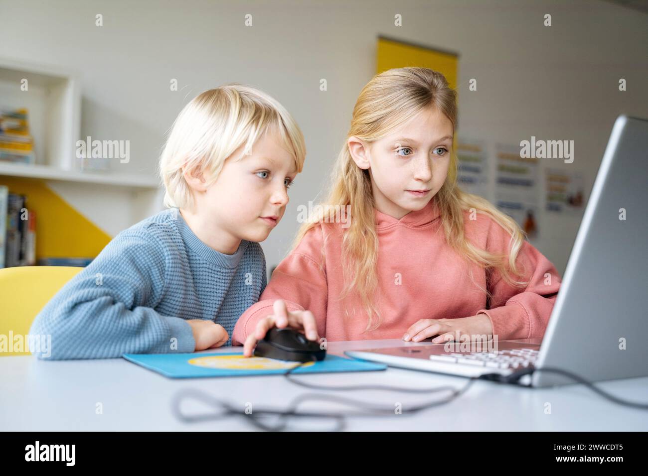 Girl and boy sharing laptop for learning computer coding in school ...