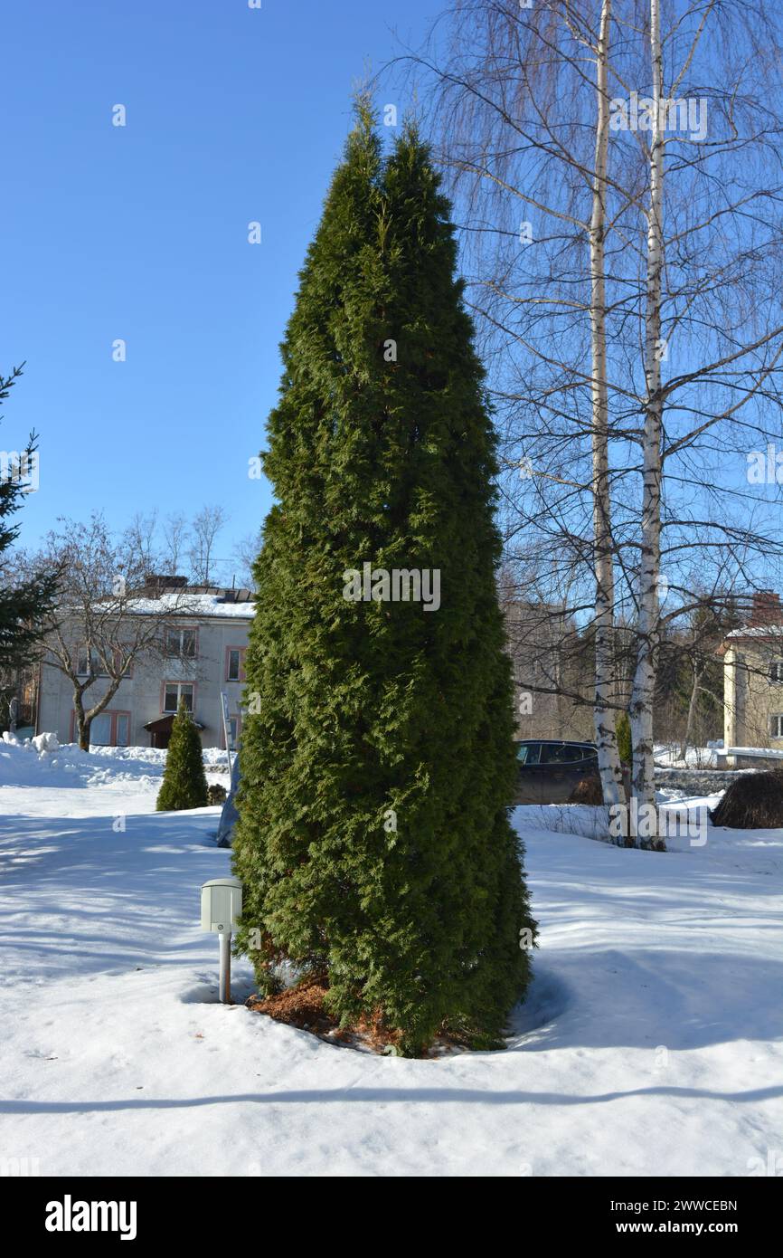 Bright winter weather in the small town of Varkaus, Finland. A lot of ...
