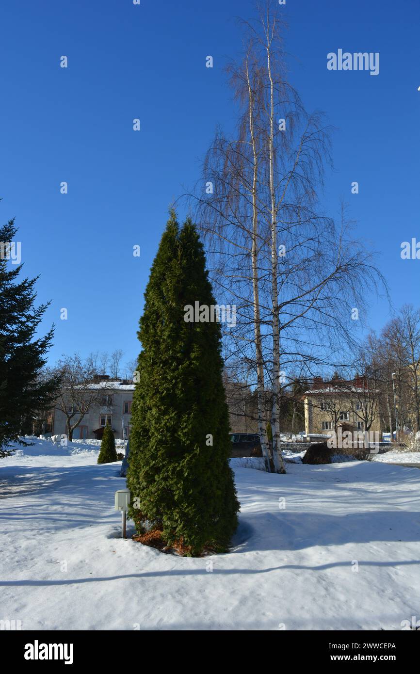 Bright winter weather in the small town of Varkaus, Finland. A lot of ...