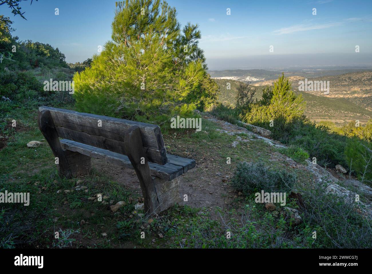 Plain wooden bench hi-res stock photography and images - Alamy