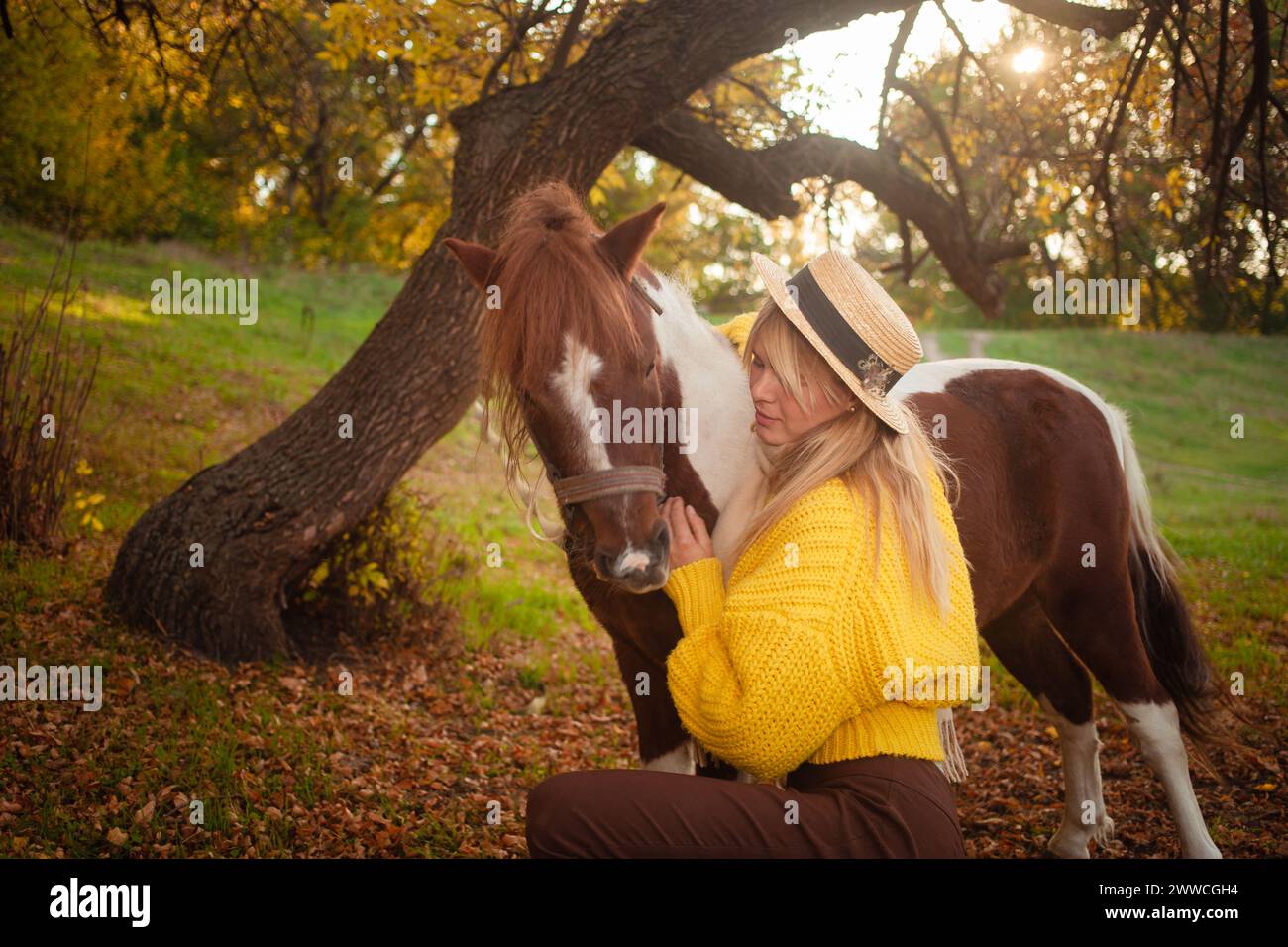 Beautiful screensaver, background, autumn forest, woman and pony in ...