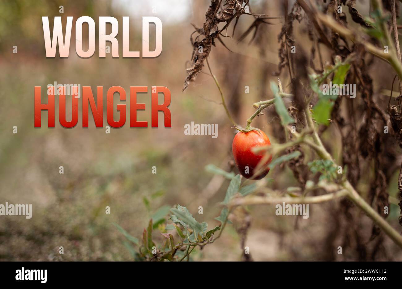 Bad harvest, rotten vegetables, drought. concept of world hunger food ...