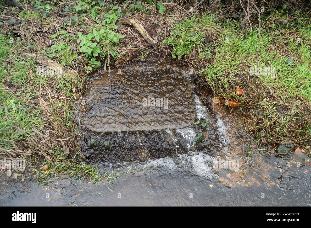 Overflowing manhole covers hi-res stock photography and images - Alamy