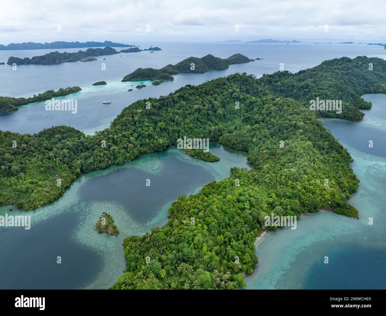 Limestone islands, fringed by reef, rise from Raja Ampat's tropical ...