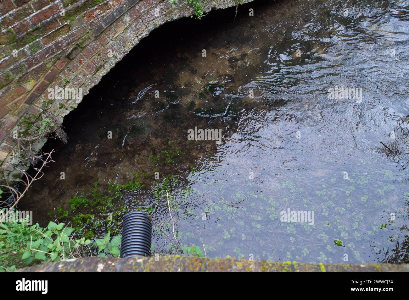 Old Amersham, UK. 21st March, 2024. Water levels on the River Misbourne ...