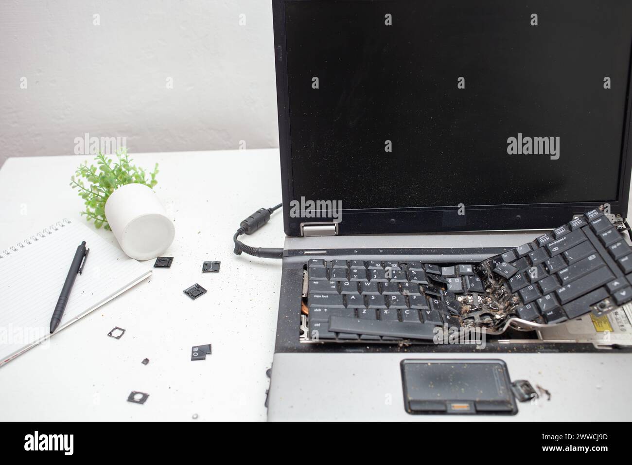 The man destroyed laptop with a hammer. Nervous work, buggy computer ...