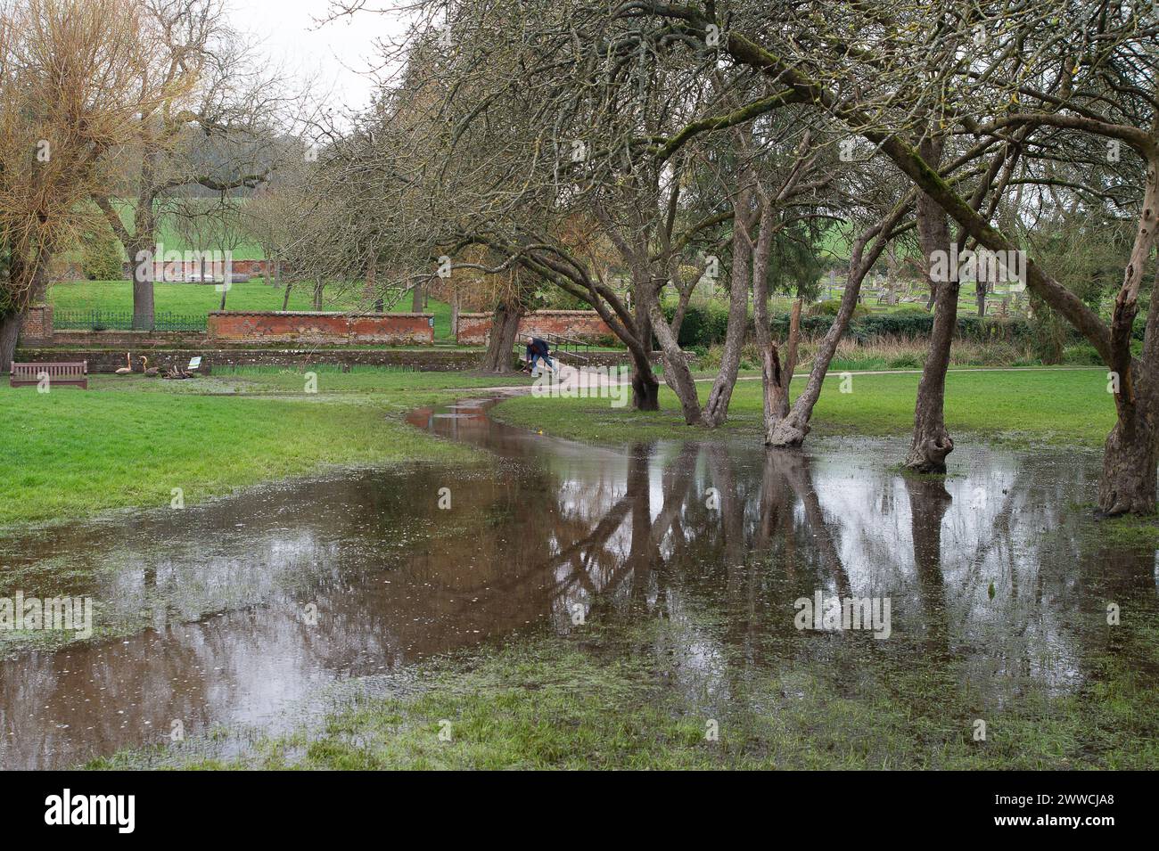Old Amersham, UK. 21st March, 2024. Water levels on the River Misbourne ...