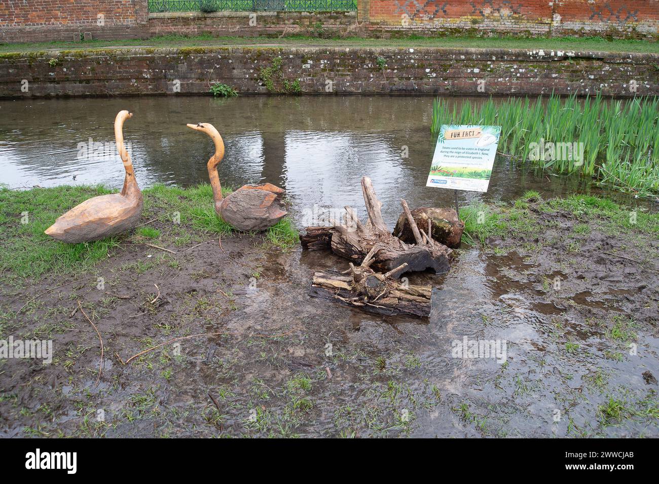 Old Amersham, UK. 21st March, 2024. Water levels on the River Misbourne ...