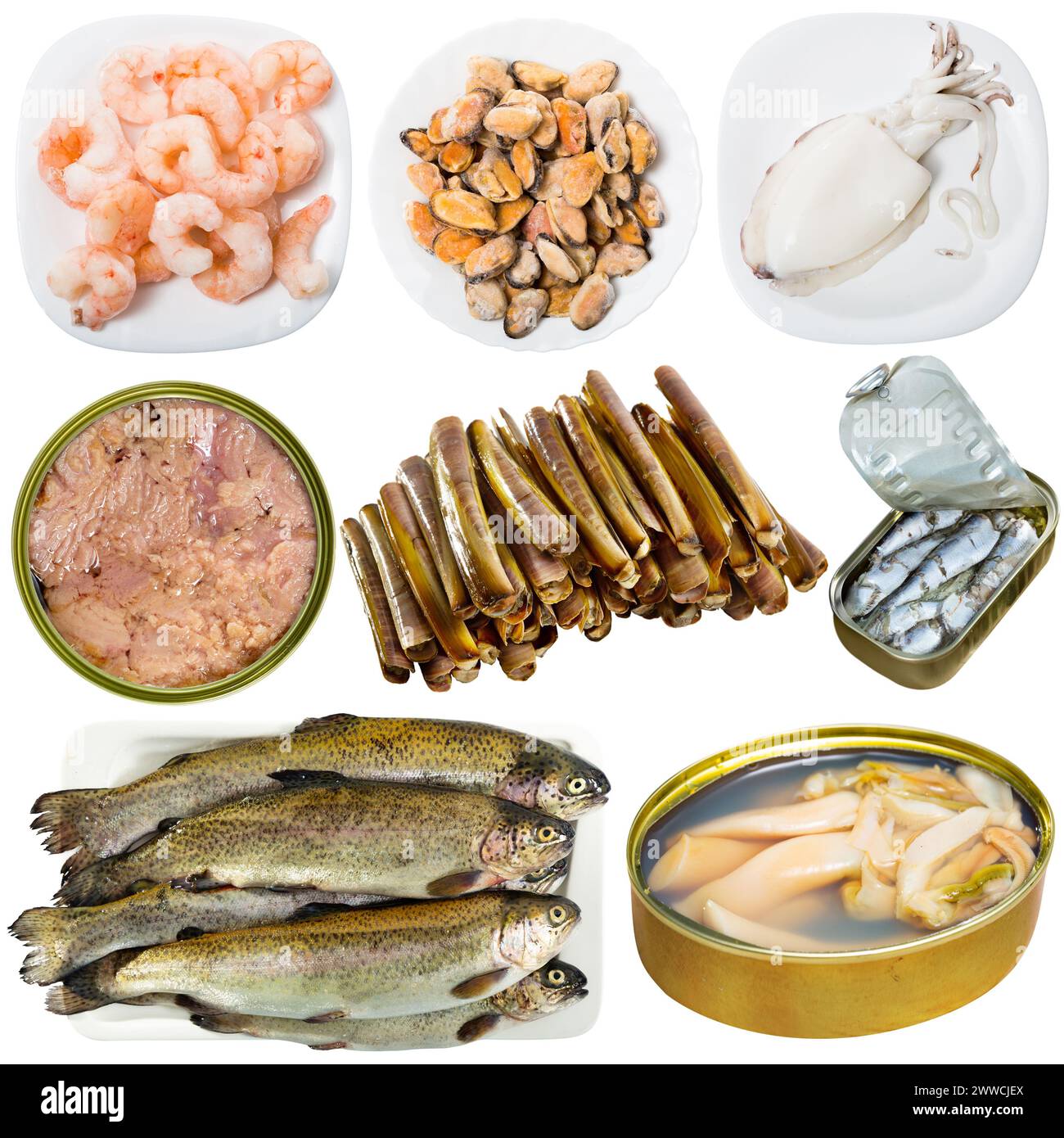Raw and canned seafood and fish isolated on white Stock Photo - Alamy