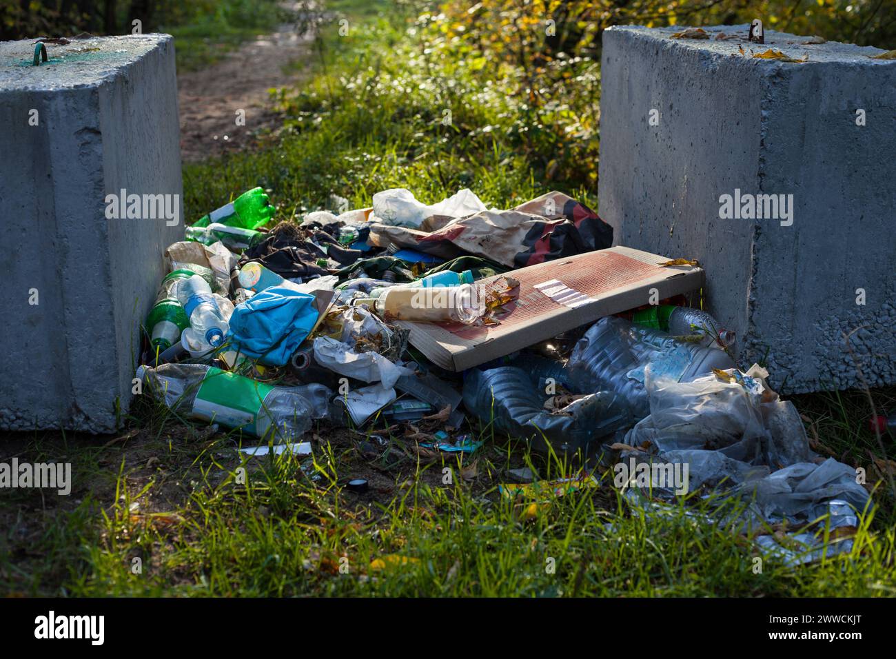 Plastic pollution: bottles scattered on grass, nature's degradation ...