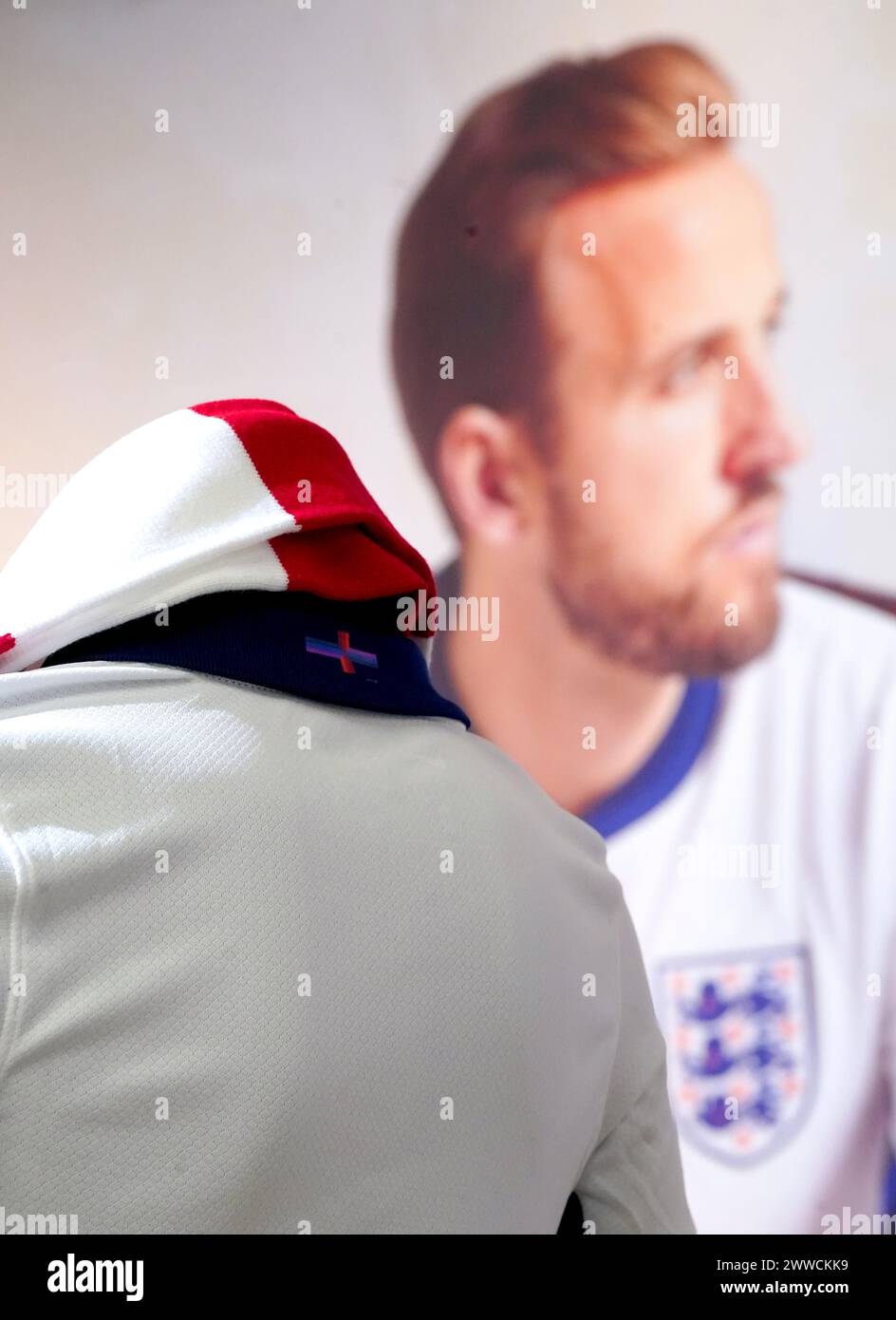 A detailed view of the St George's Cross detail on the back of an ...