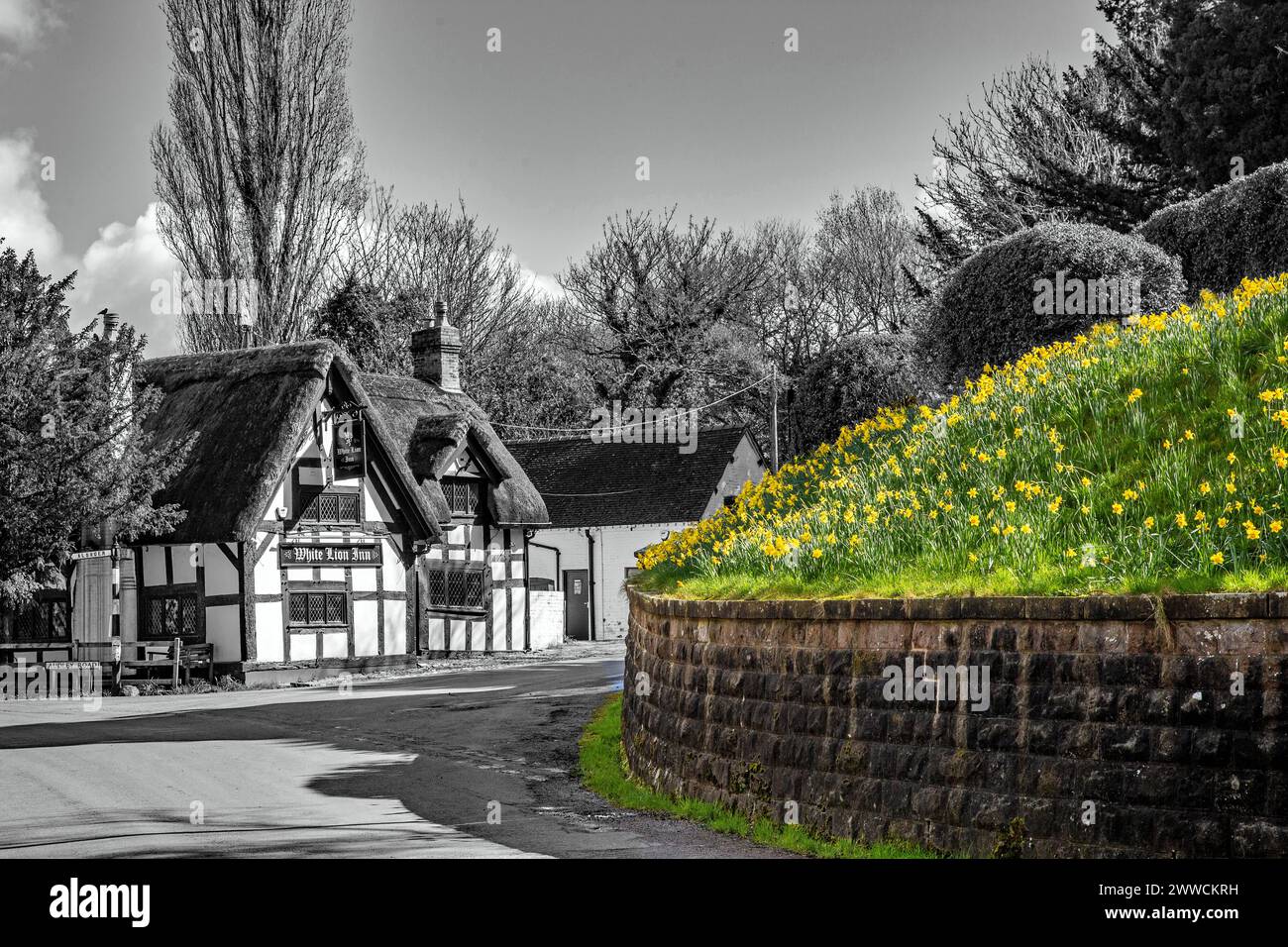 The White Lion a17th century black and white half timbered thatched ...