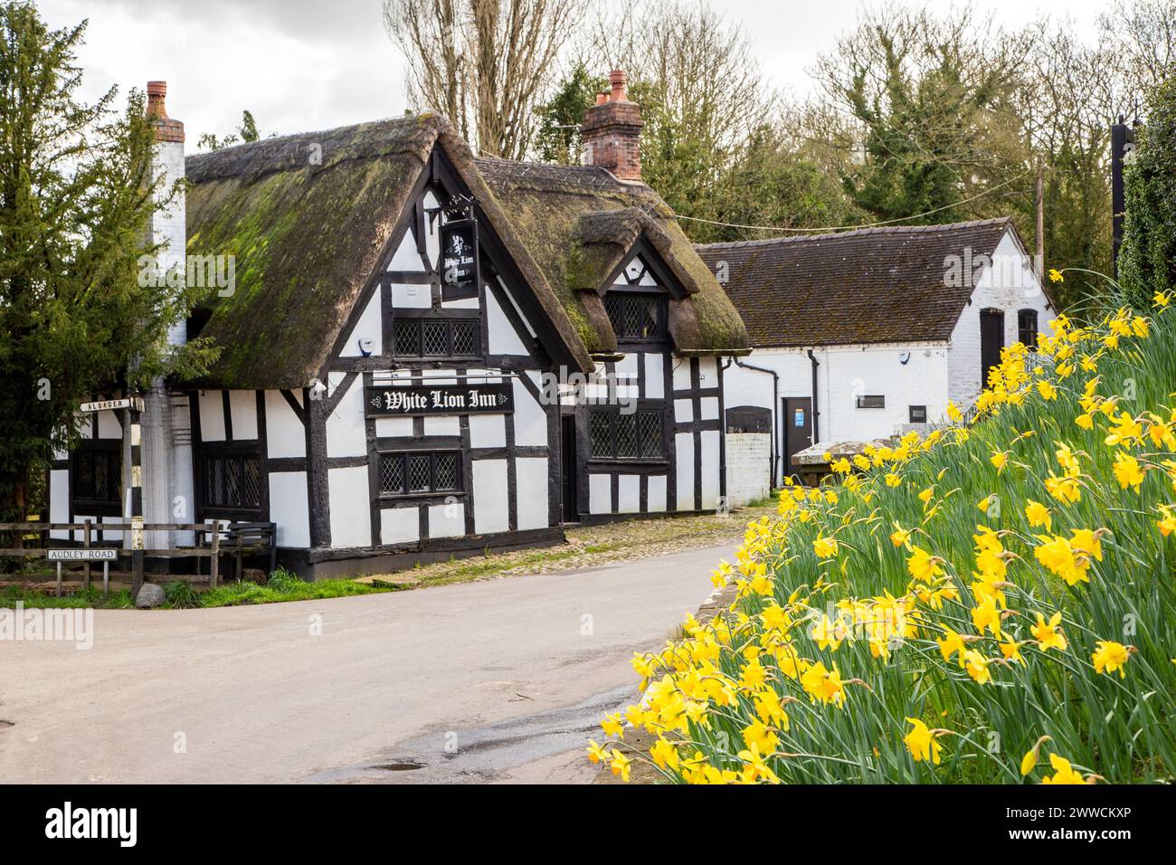 The White Lion a17th century black and white half timbered thatched ...