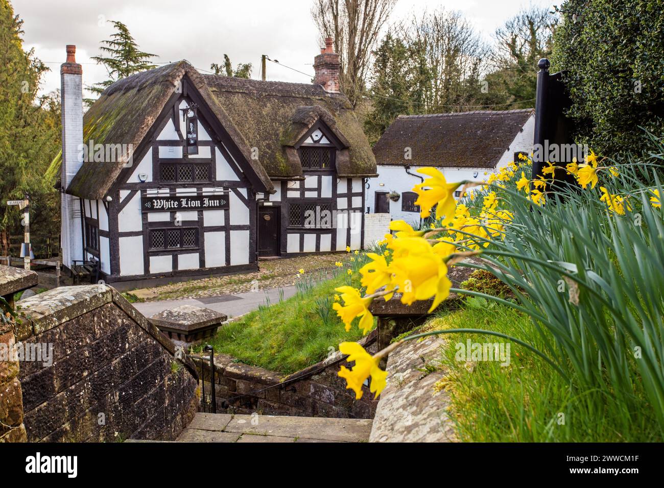 The White Lion a17th century black and white half timbered thatched ...
