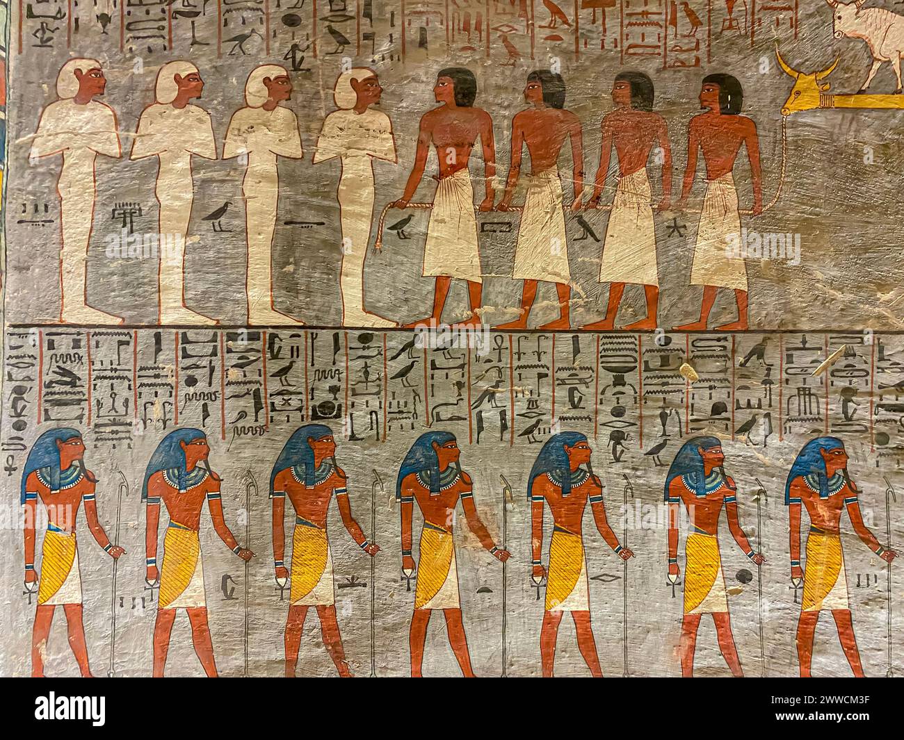 Kv16 tomb hi-res stock photography and images - Alamy
