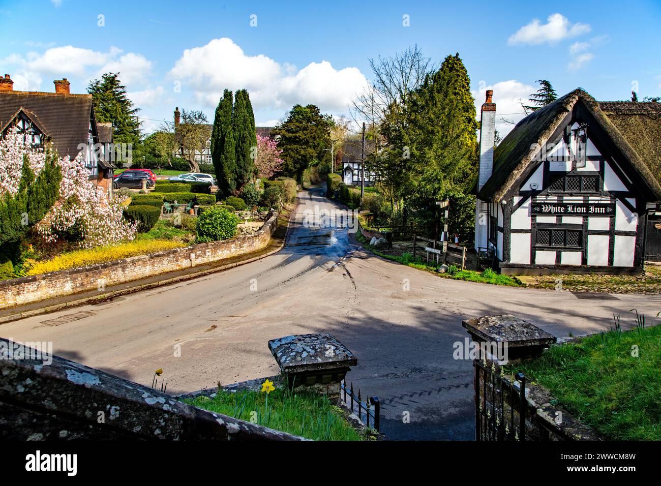 The White Lion a17th century black and white half timbered thatched ...